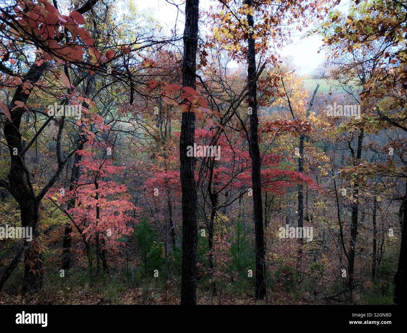 Ozarks hi-res stock photography and images - Alamy