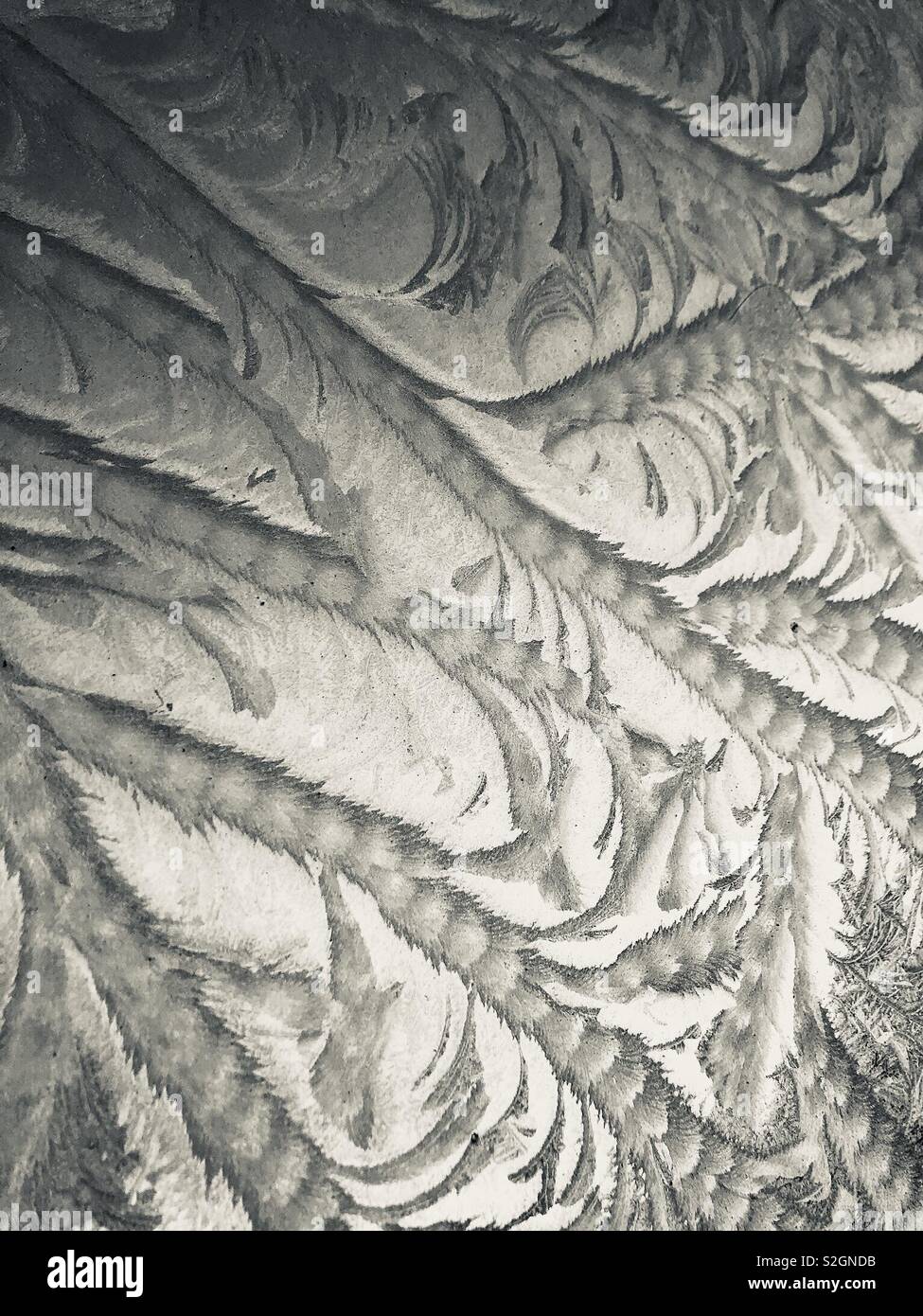 Frosty jack hi-res stock photography and images - Alamy