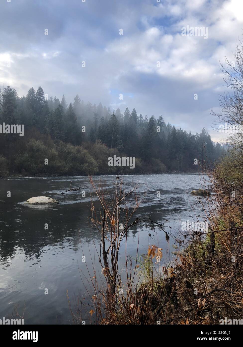 Morning fog rolling over the trees Stock Photo - Alamy