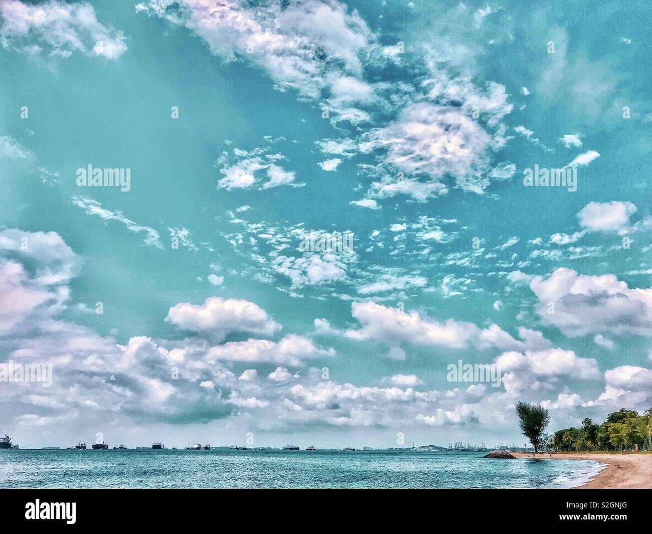 Sun, beach, freedom, life Stock Photo - Alamy