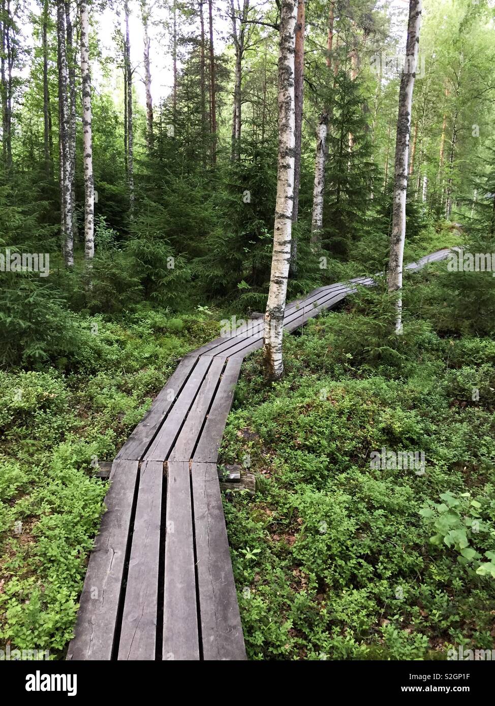 Duckboard hi-res stock photography and images - Alamy