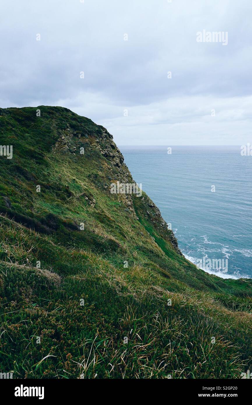 Cliff grass hi-res stock photography and images - Alamy