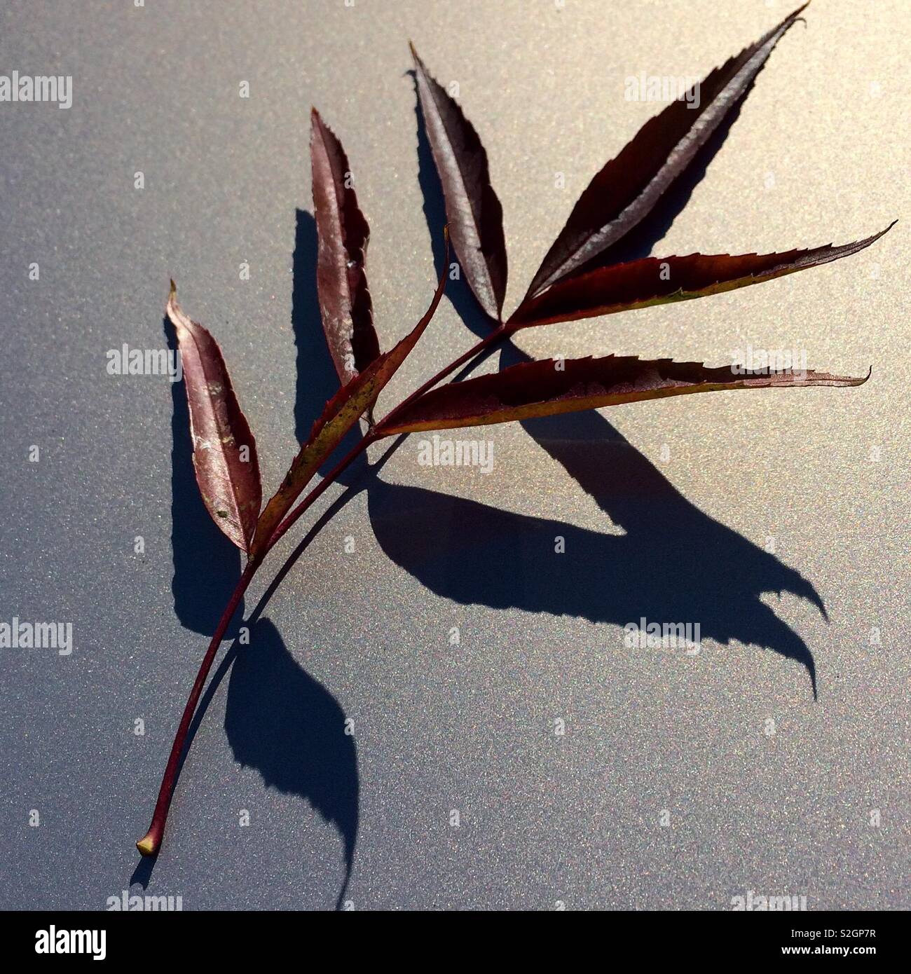 Reflection light shade hi-res stock photography and images - Alamy