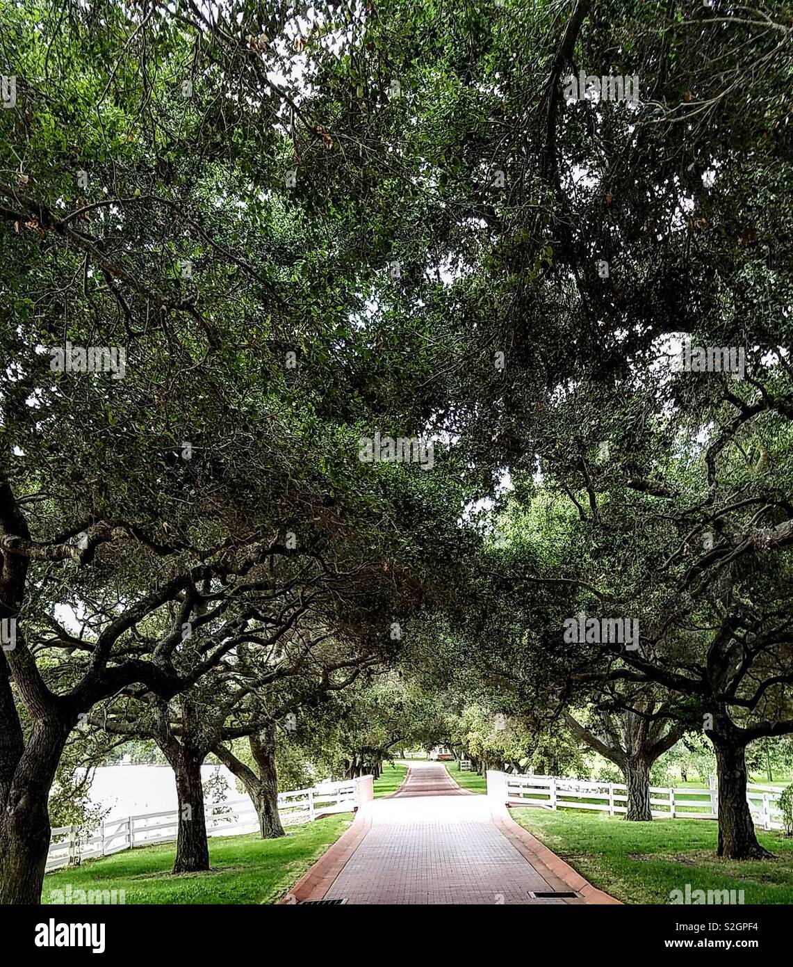 Thousand oaks california hi-res stock photography and images - Alamy