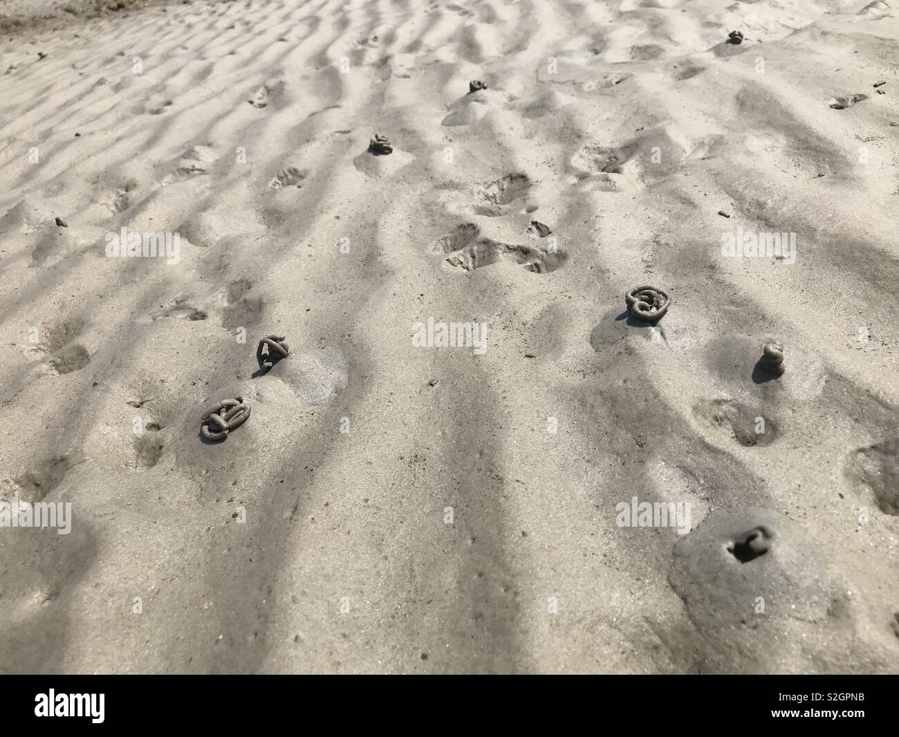 Rippled beach sand Stock Photo - Alamy