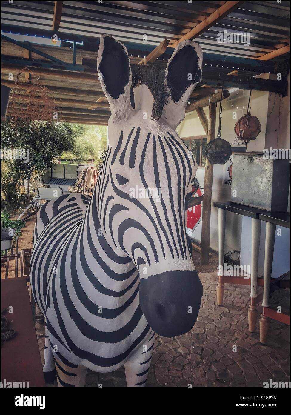 Zebra sculpture at Toeka Stoor in Windmeul near Paarl, South Africa ...