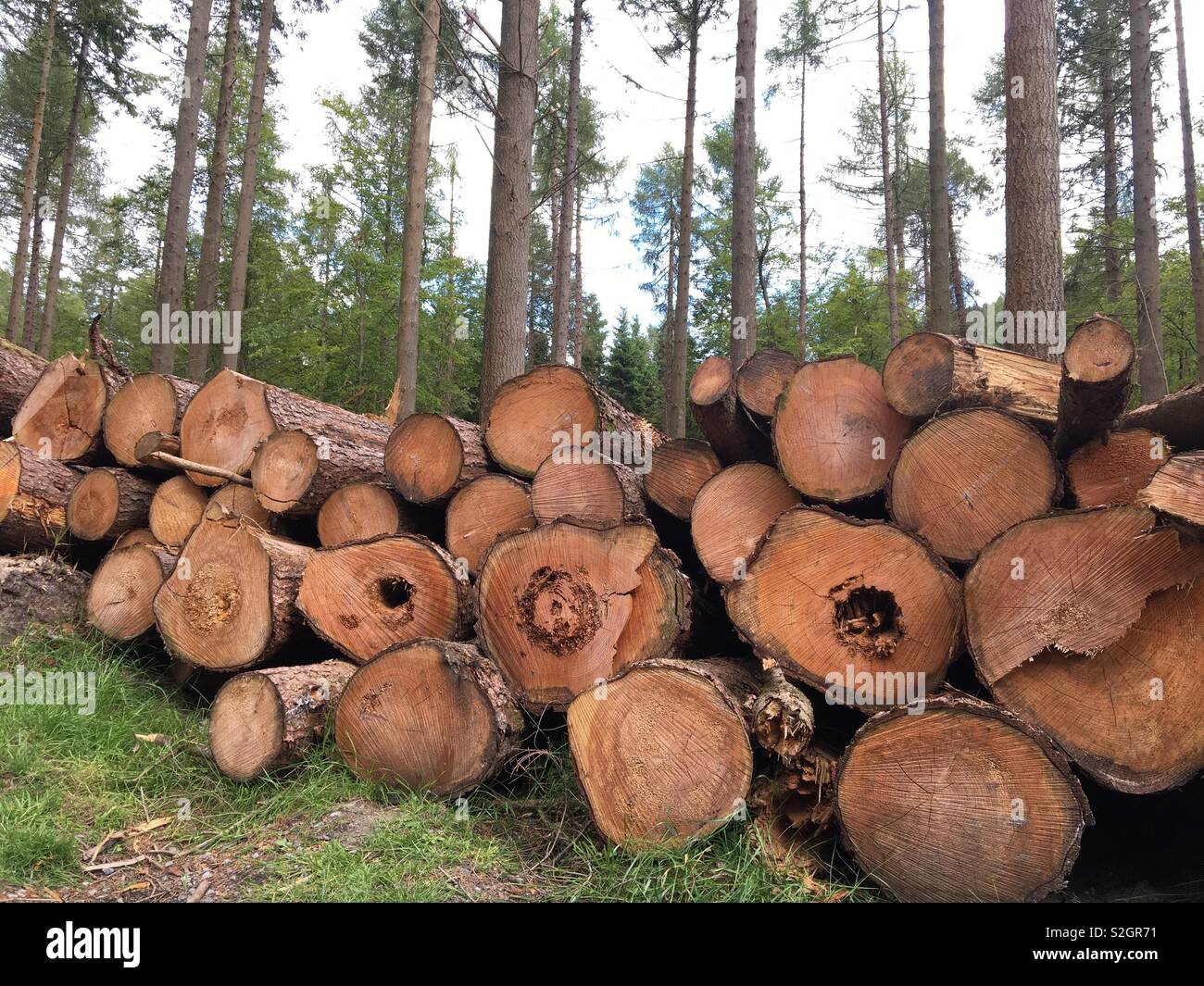 Lumber in Ireland Stock Photo - Alamy