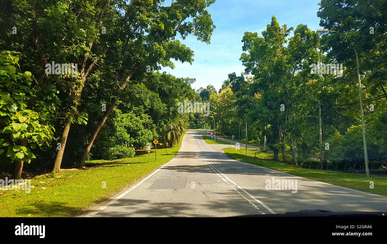 Island greenery hi-res stock photography and images - Alamy