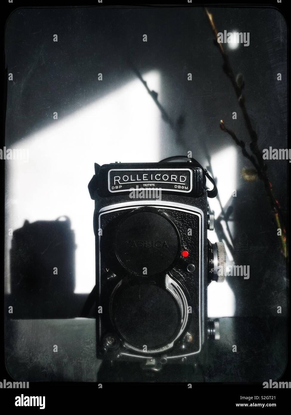 Analogue vintage medium format Twin-lens camera Stock Photo - Alamy