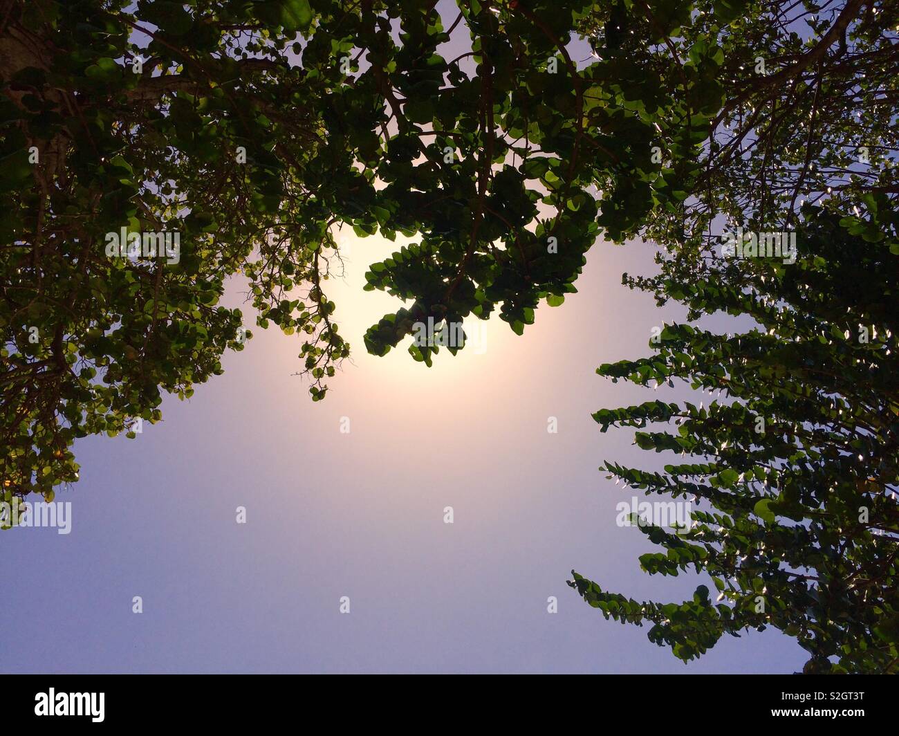 Hazy sunshine hi-res stock photography and images - Alamy