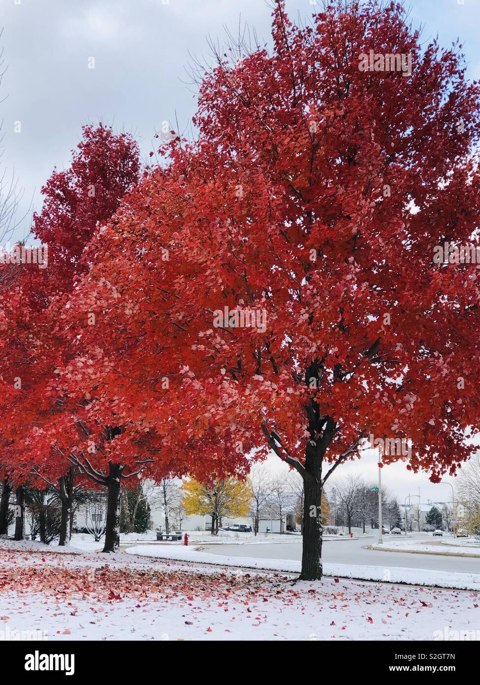 Real colour hi-res stock photography and images - Alamy