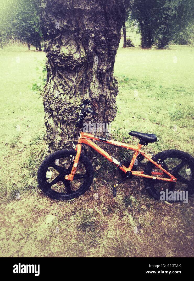 Bike leaning against tree hi-res stock photography and images - Alamy
