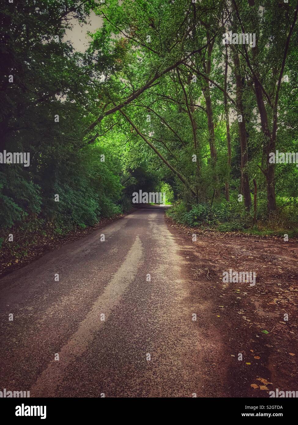 Countryside road in Cheshire UK Stock Photo - Alamy
