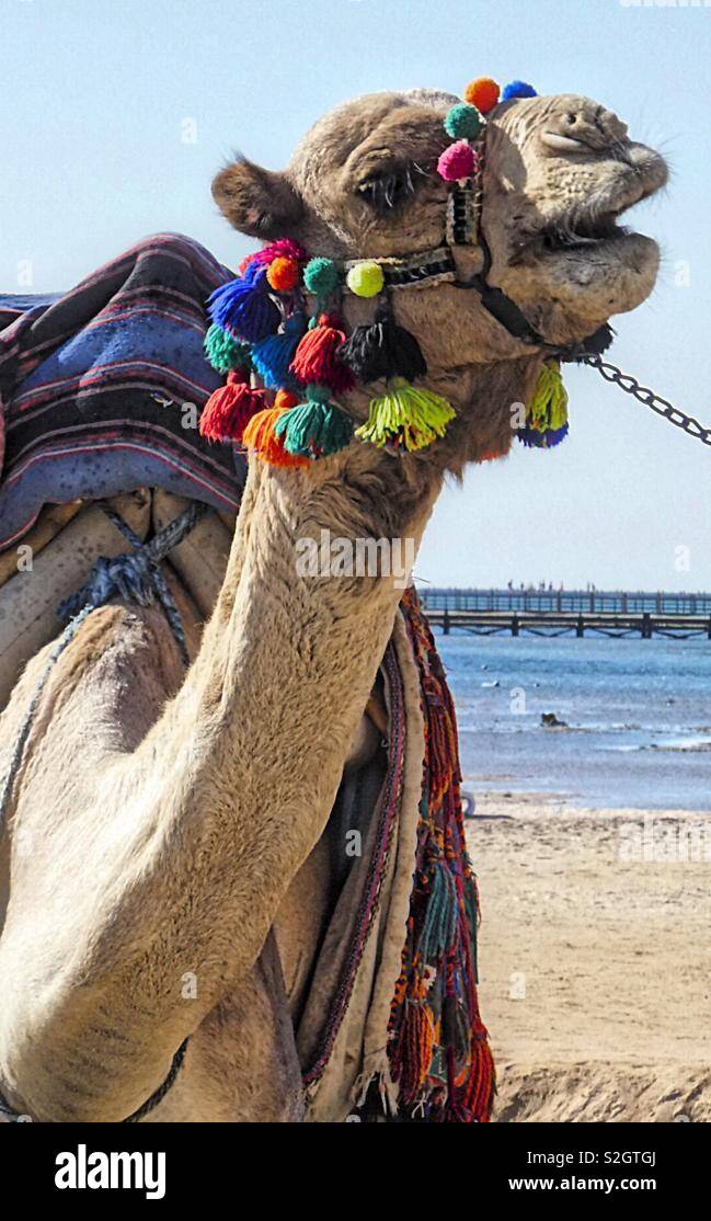 hello ...! Stock Photo - Alamy
