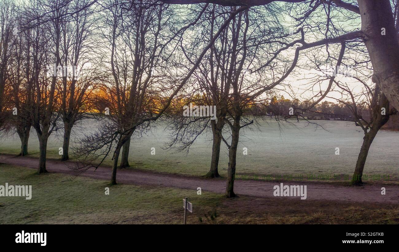 Frosty morning walk hi-res stock photography and images - Alamy