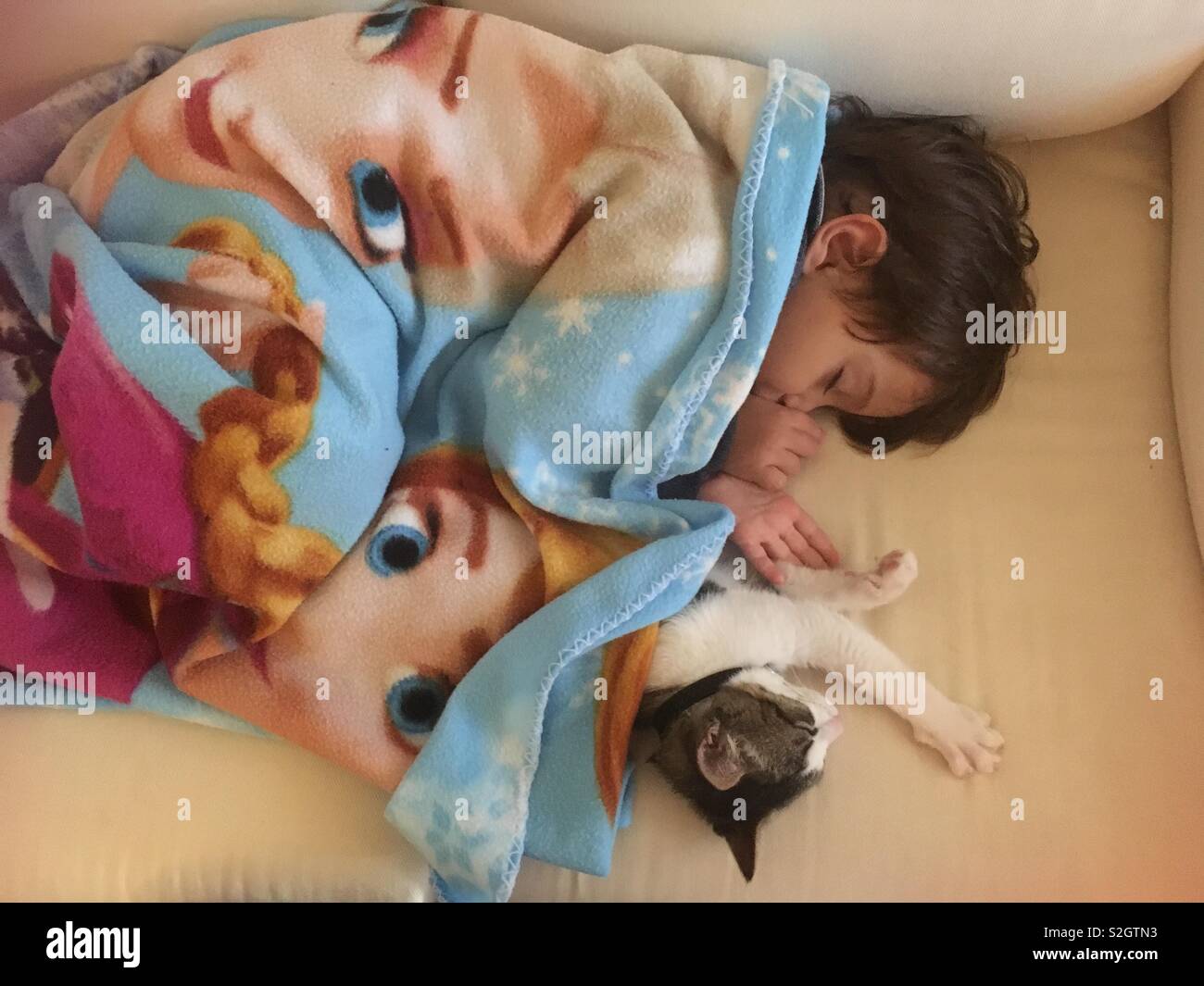 Boy sleeping cat hi-res stock photography and images - Alamy