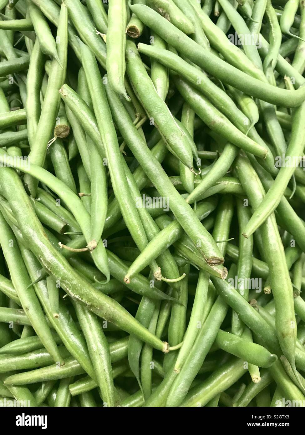 String Beans High Resolution Stock Photography and Images - Alamy