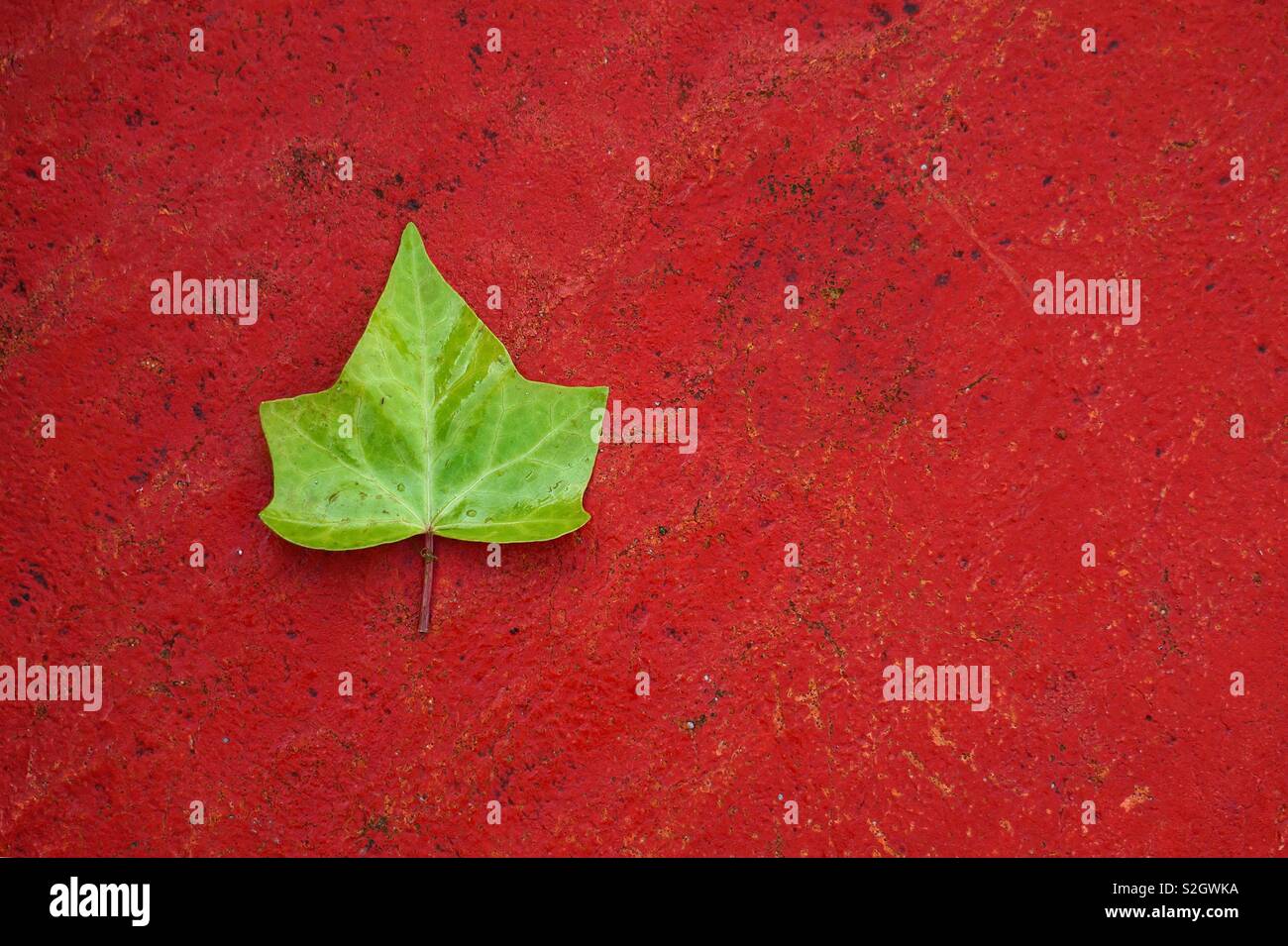 Green and red leaf texture hi-res stock photography and images - Alamy