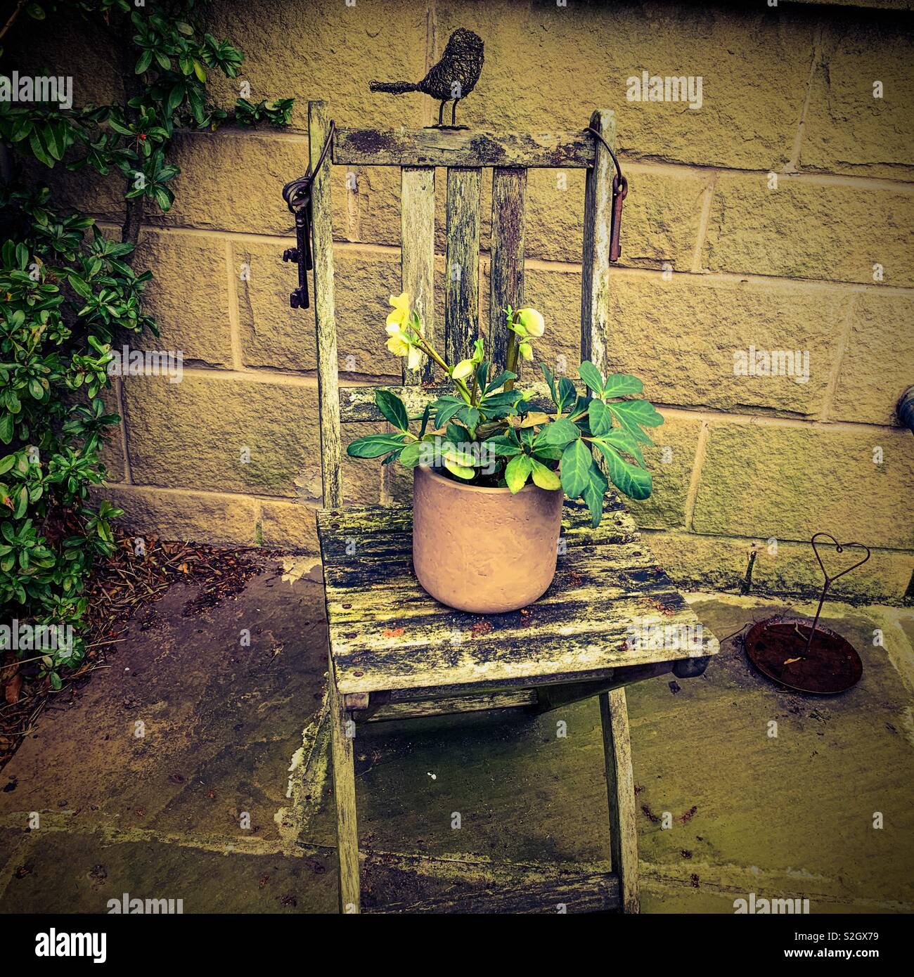 Little chair hi-res stock photography and images - Alamy