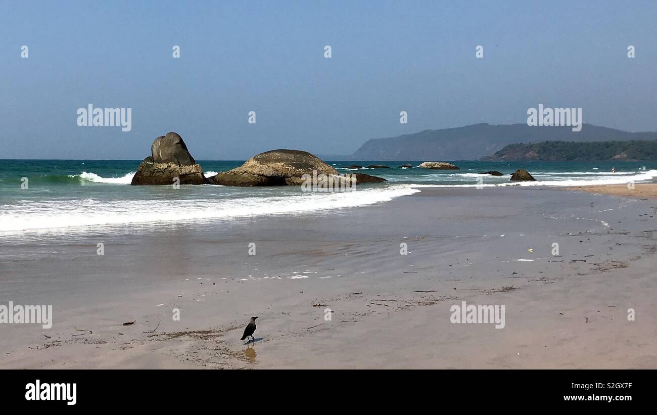 Snoopy rock hi-res stock photography and images - Alamy
