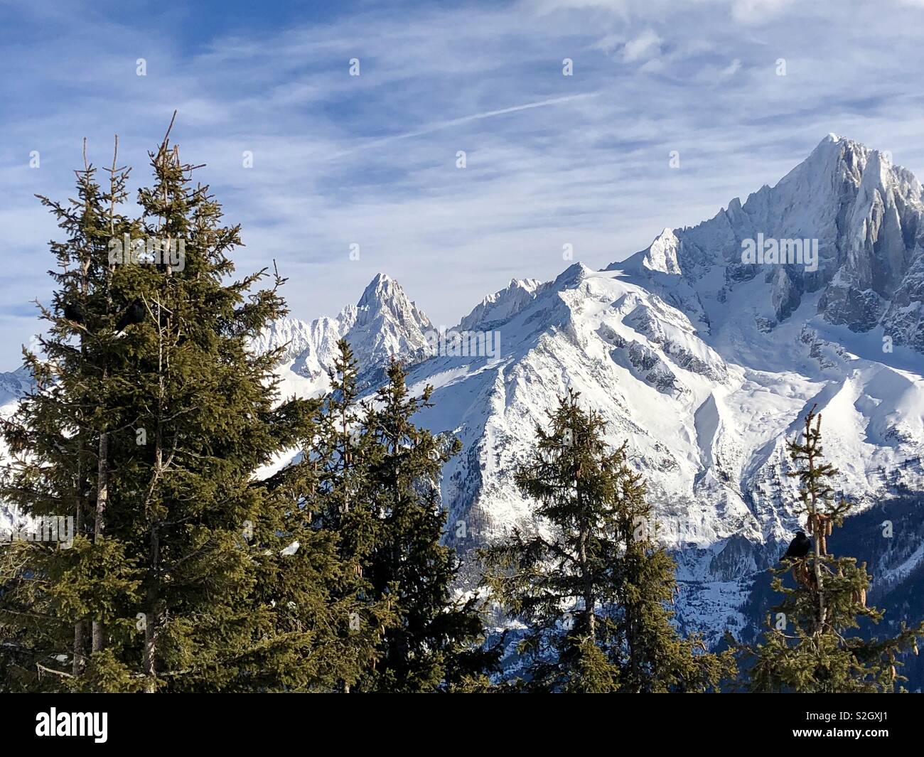 Trees mountain in french alps hi-res stock photography and images - Alamy