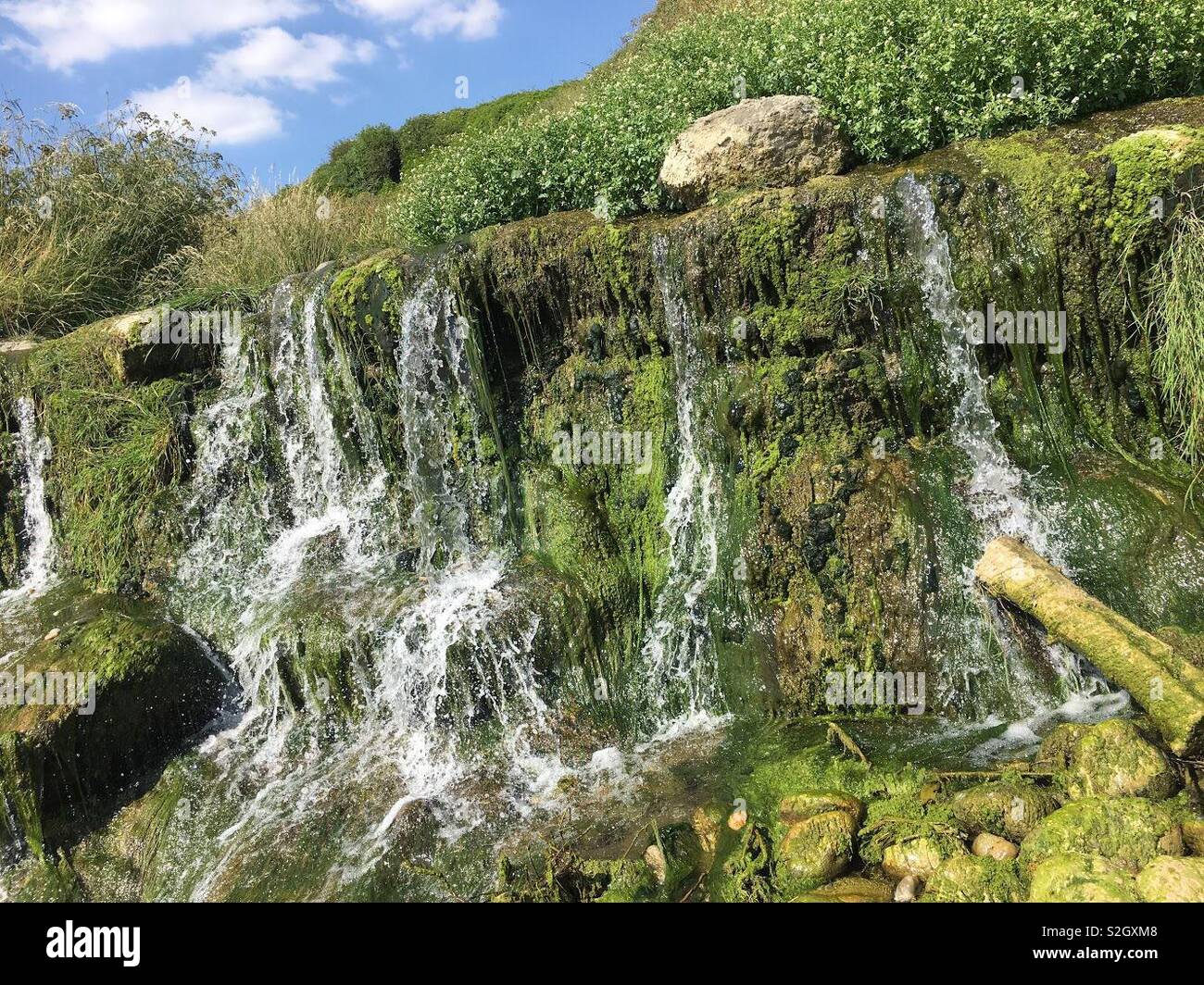 The sound you need Stock Photo - Alamy