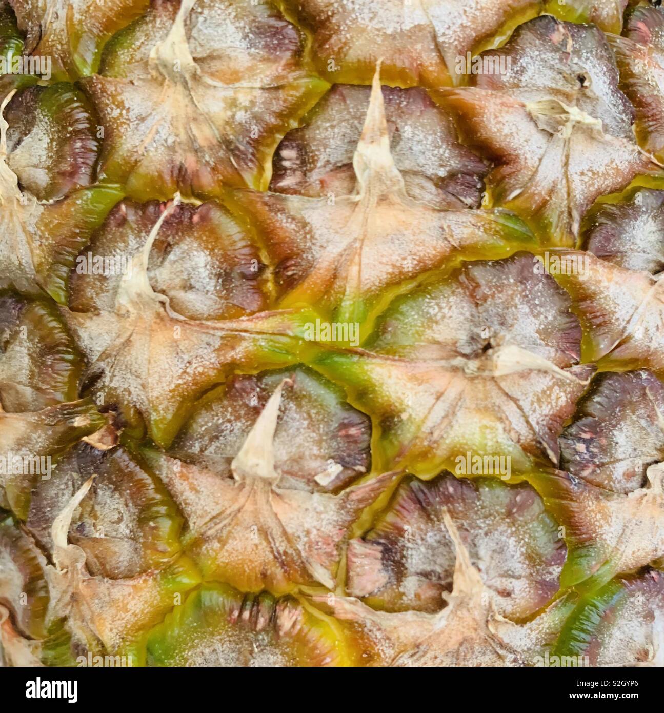 Up close photo of pineapple Stock Photo - Alamy