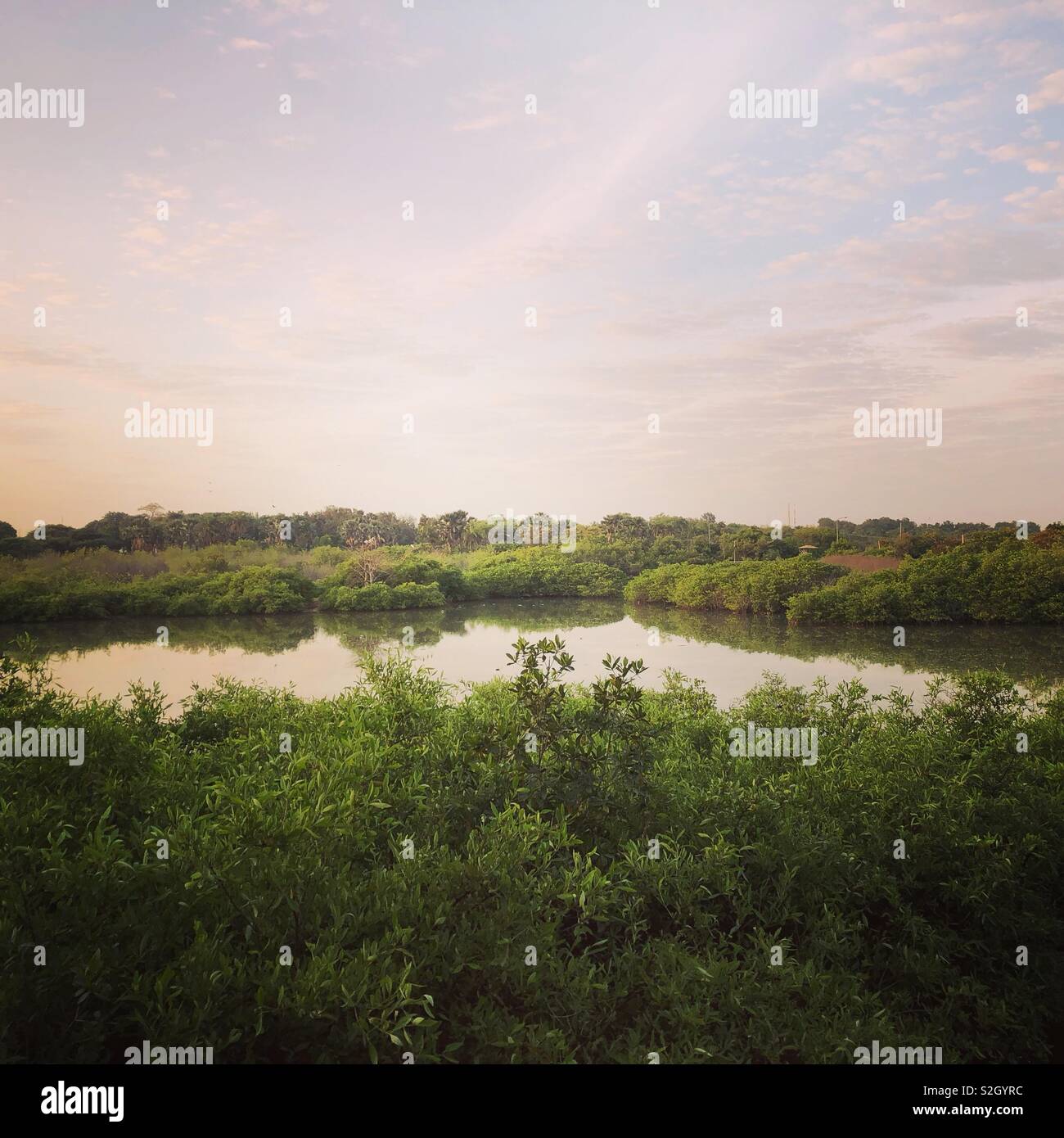 Kotu gambia hi-res stock photography and images - Alamy
