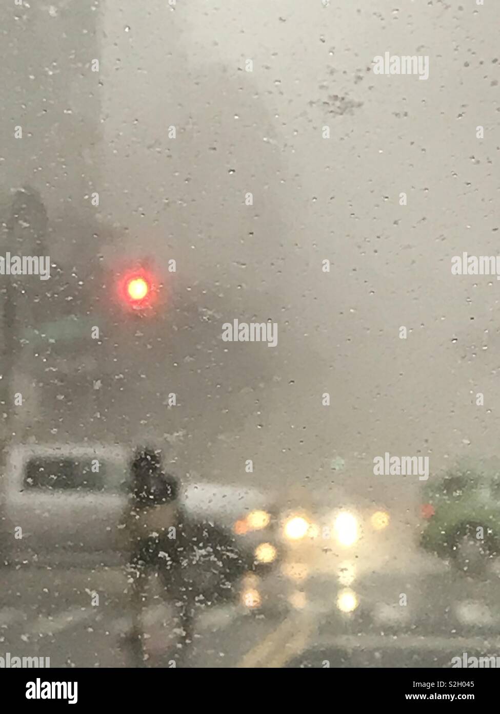 Whiteout in New York City Stock Photo - Alamy