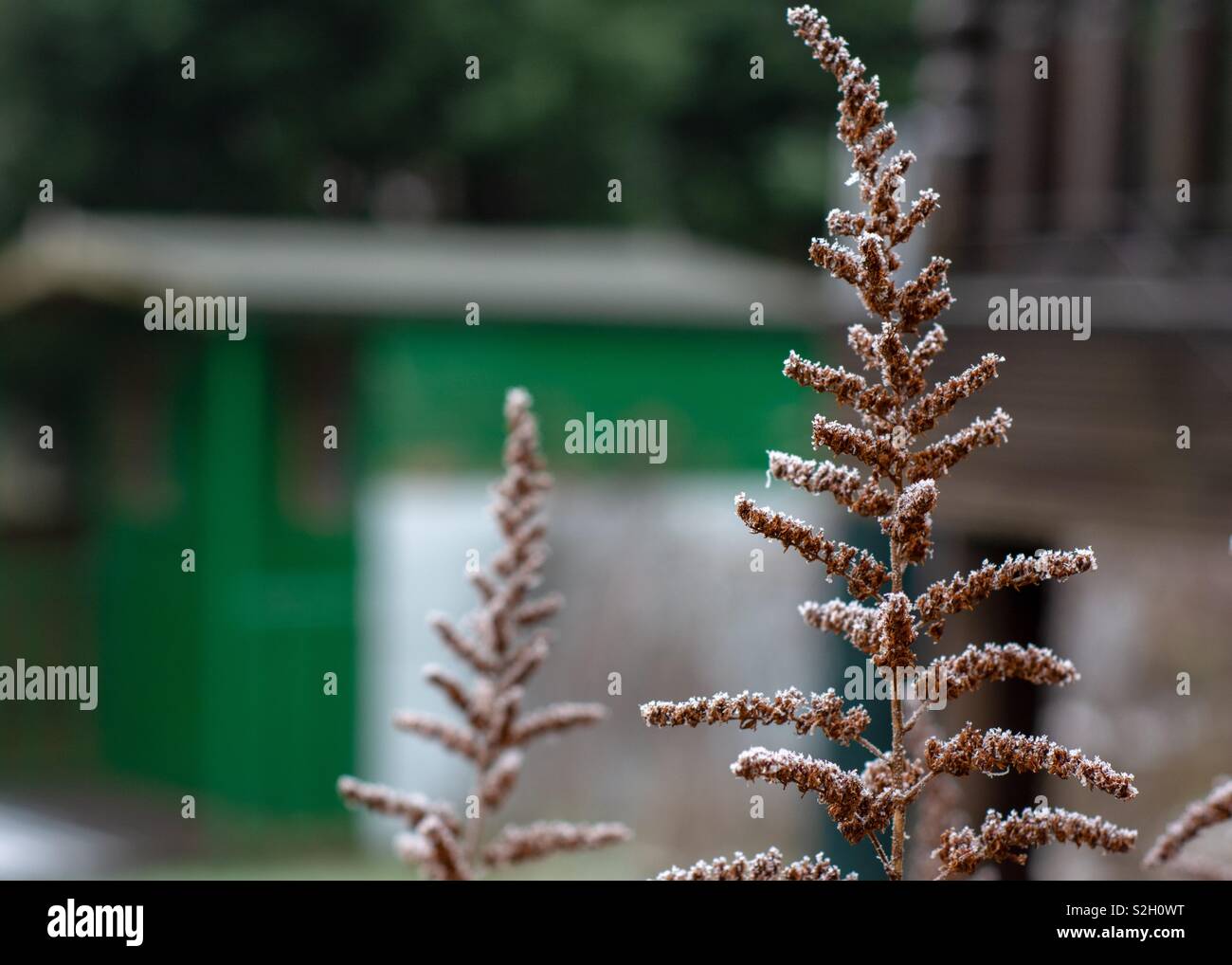 Newsworthy hi-res stock photography and images - Alamy