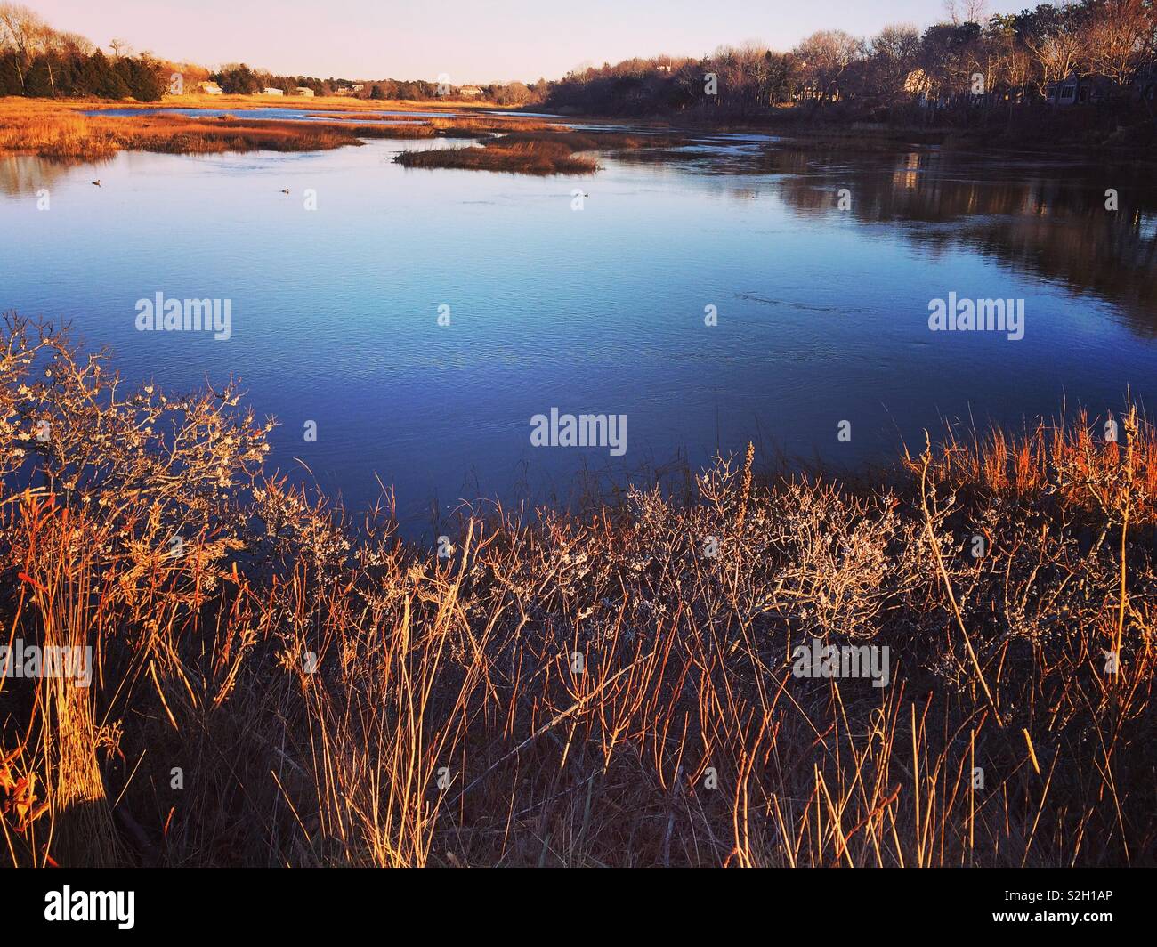 A winter view of wetlands, Cape Cod, Massachusetts, United States Stock ...