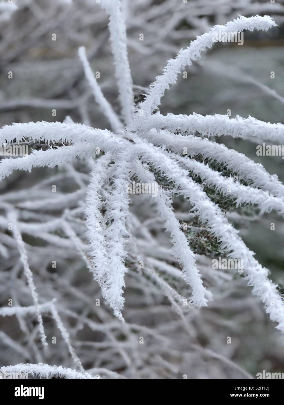 Snowburst hi-res stock photography and images - Alamy