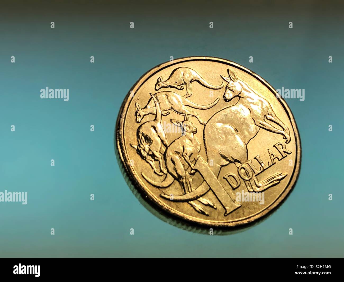 Australian one dollar coin Stock Photo - Alamy