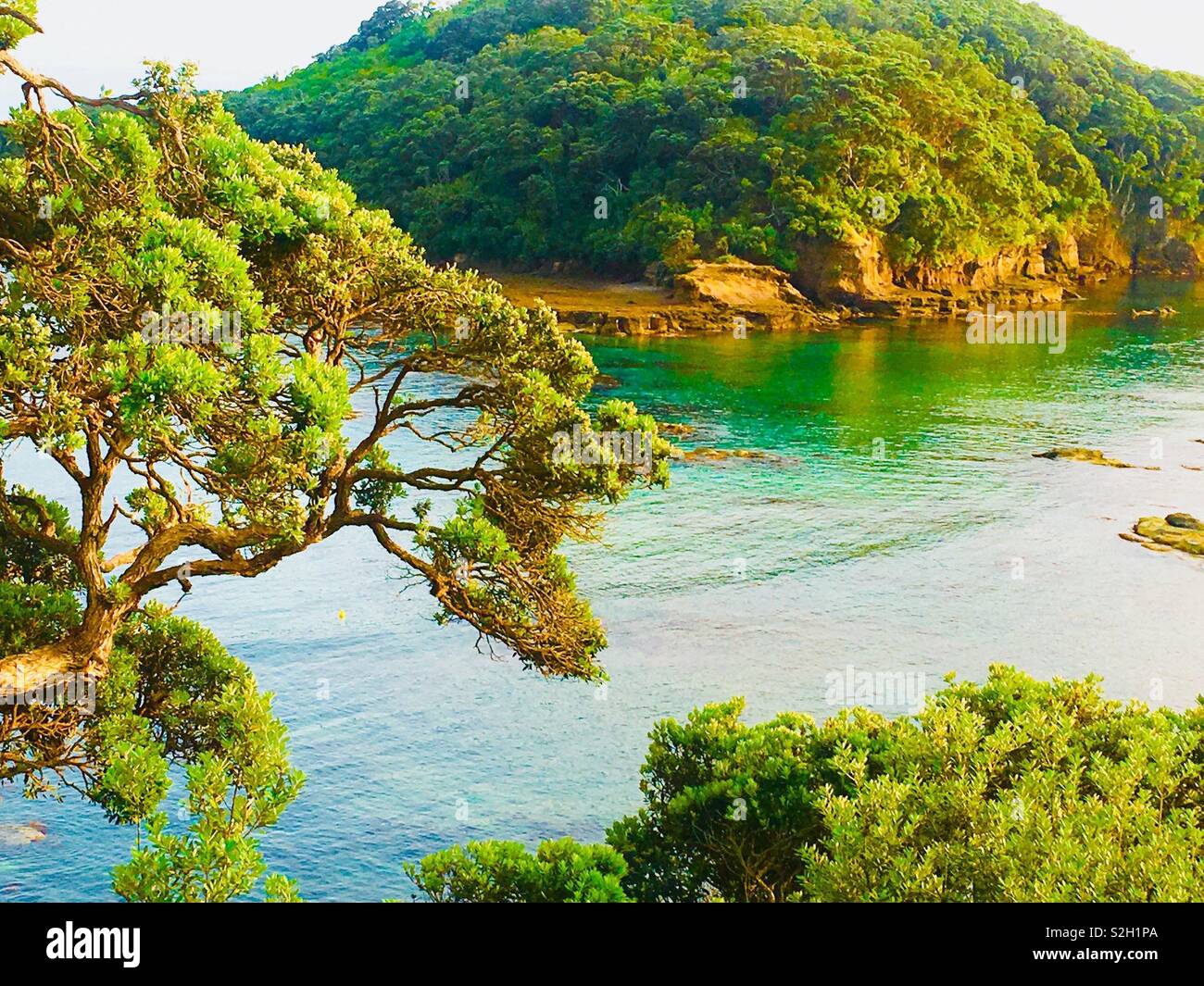 Goat island new zealand hi-res stock photography and images - Alamy