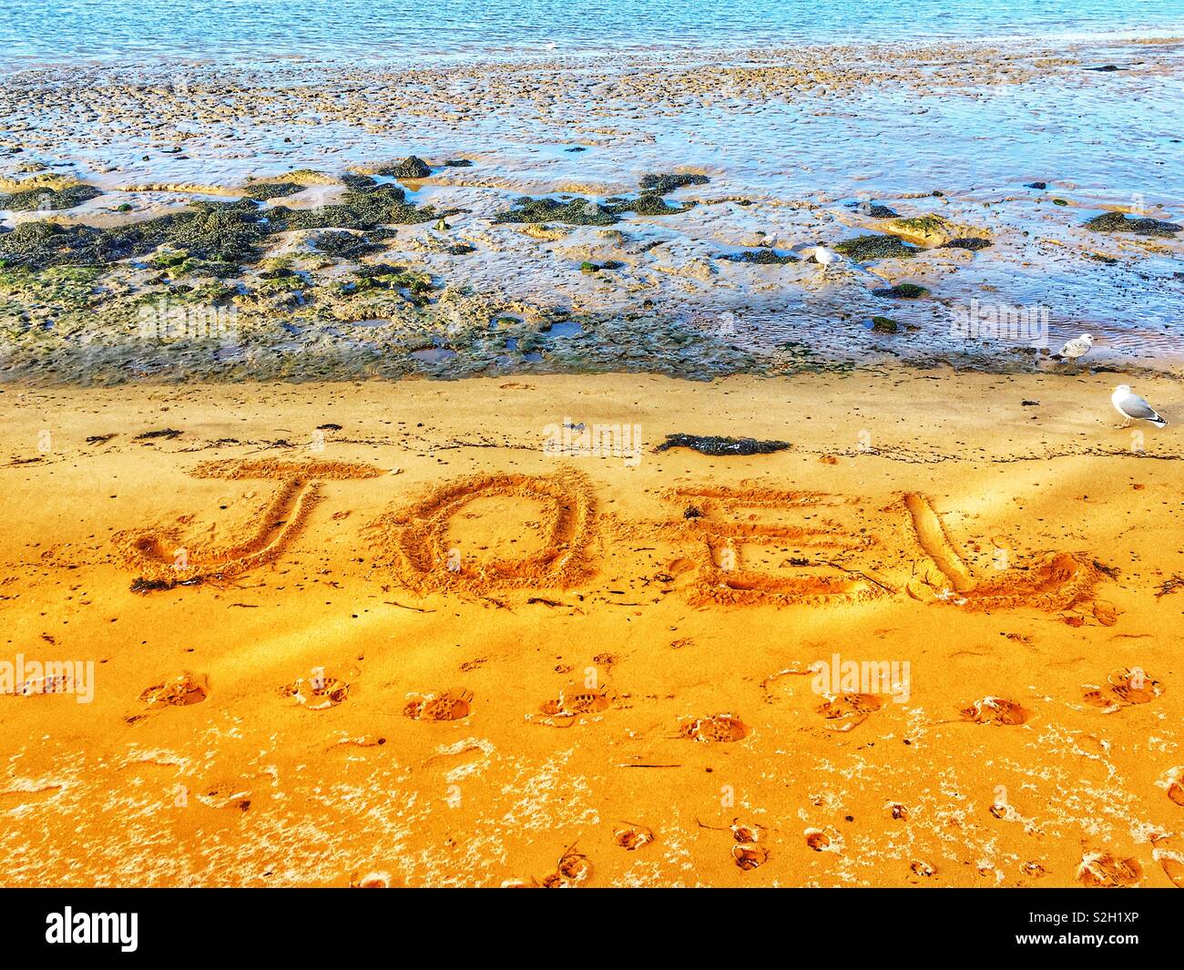Joel ferry hi-res stock photography and images - Alamy
