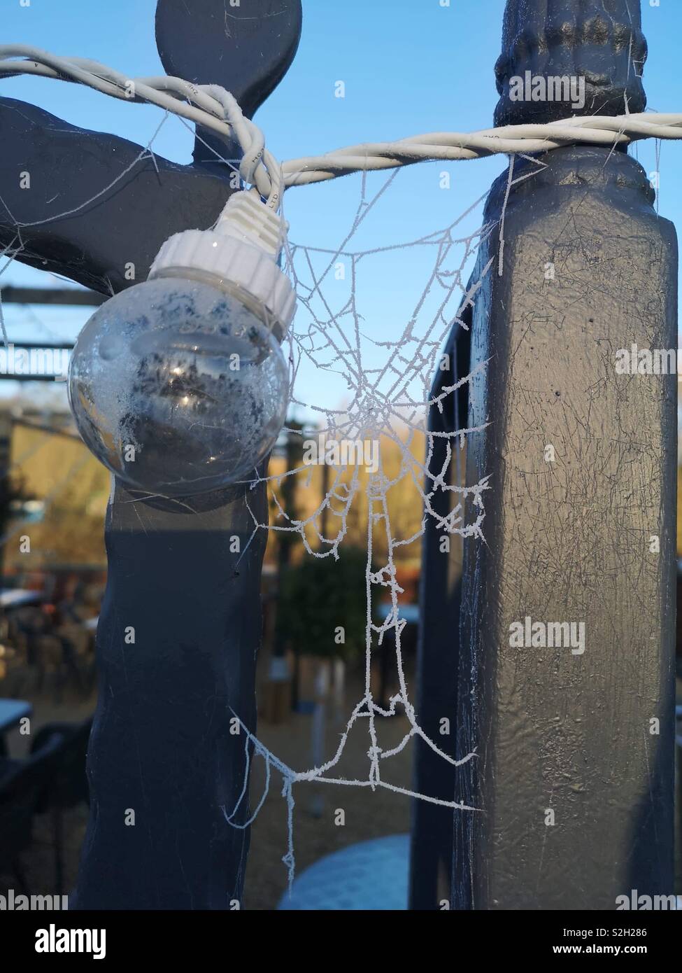 Spider on railing hi-res stock photography and images - Alamy