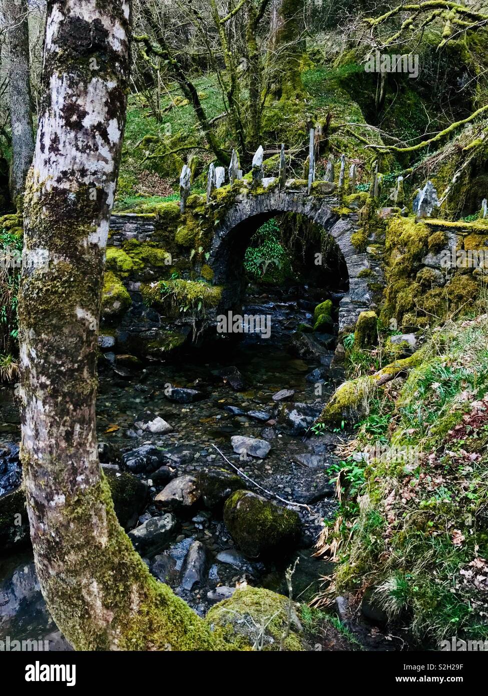 Old stone bridge with moss Stock Photo - Alamy