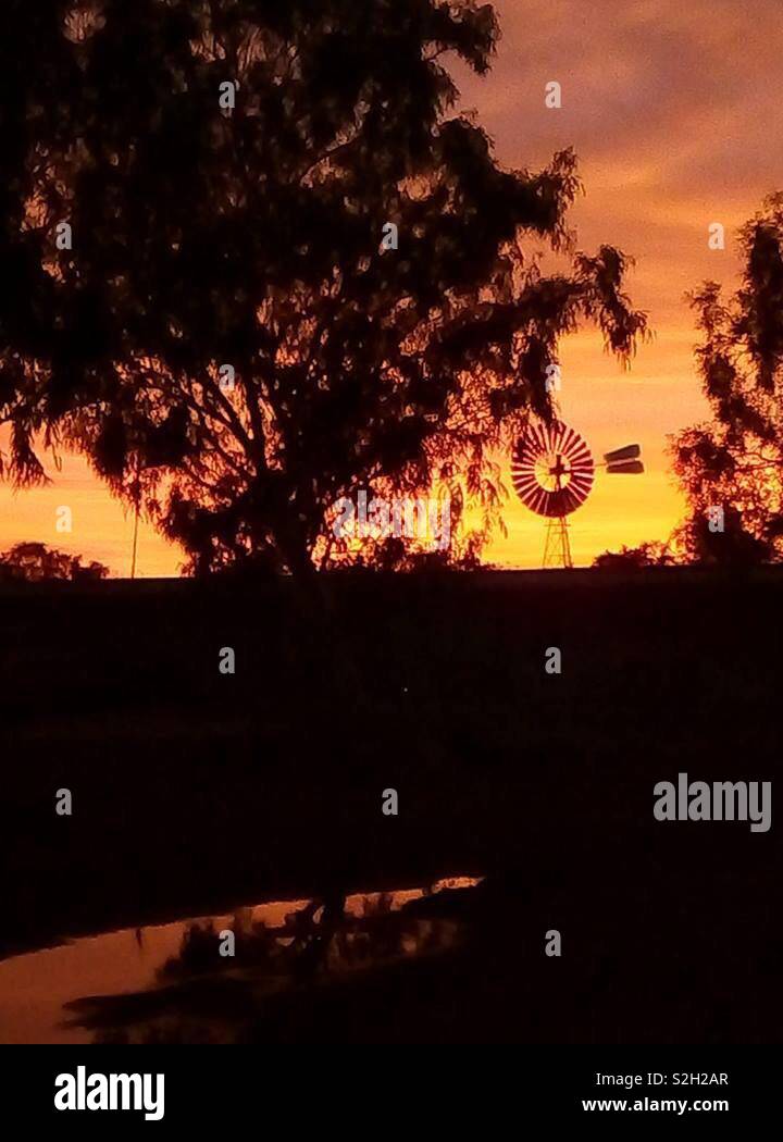 Renner springs hi-res stock photography and images - Alamy