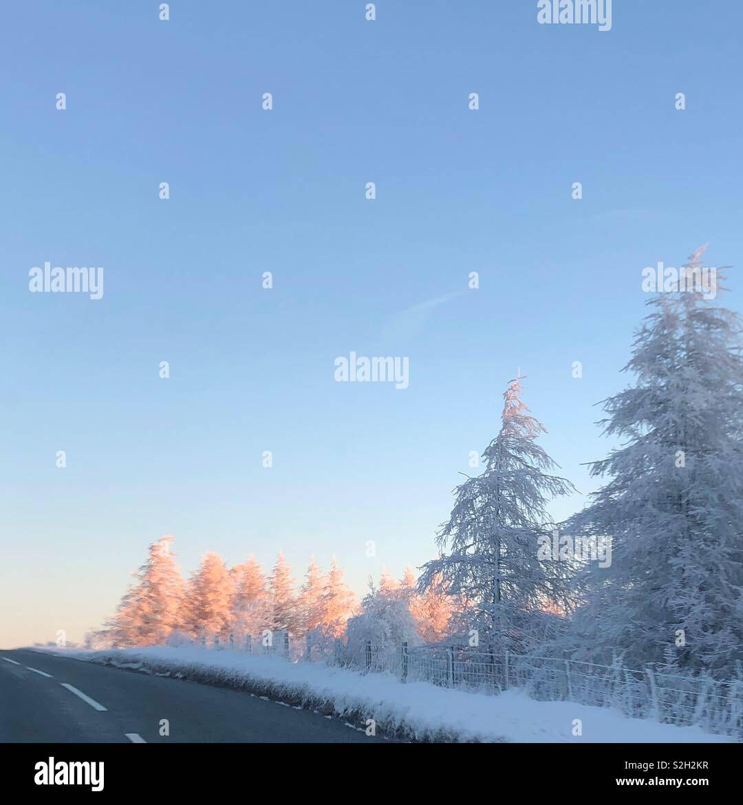Pink Snowy Scene Stock Photo - Alamy