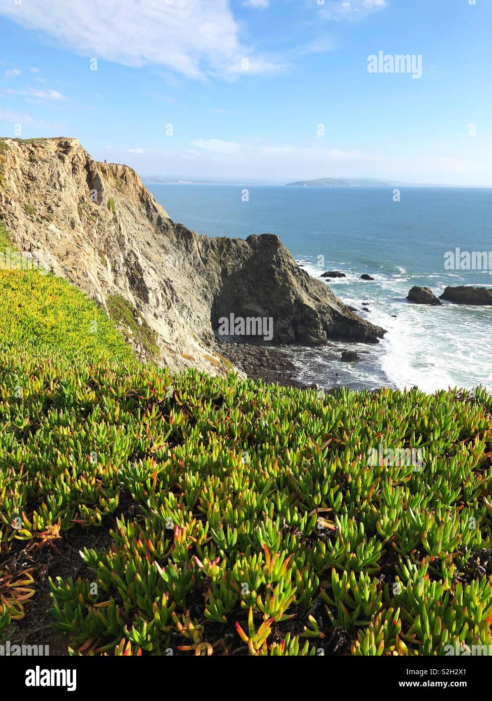 Edge plant hi-res stock photography and images - Alamy