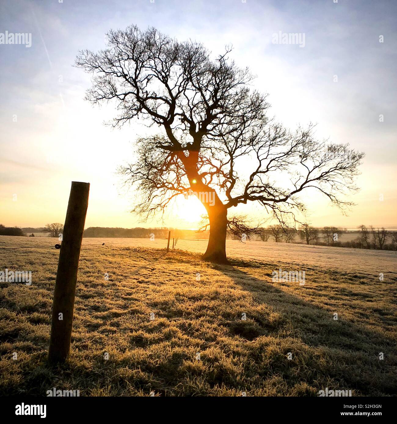 Farming sunrise hi-res stock photography and images - Alamy