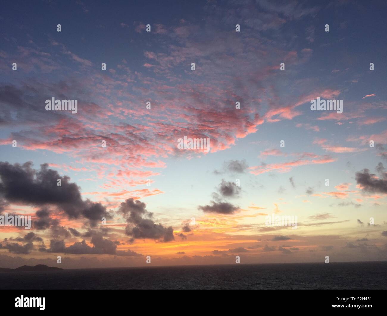 The red Phoenix Stock Photo - Alamy