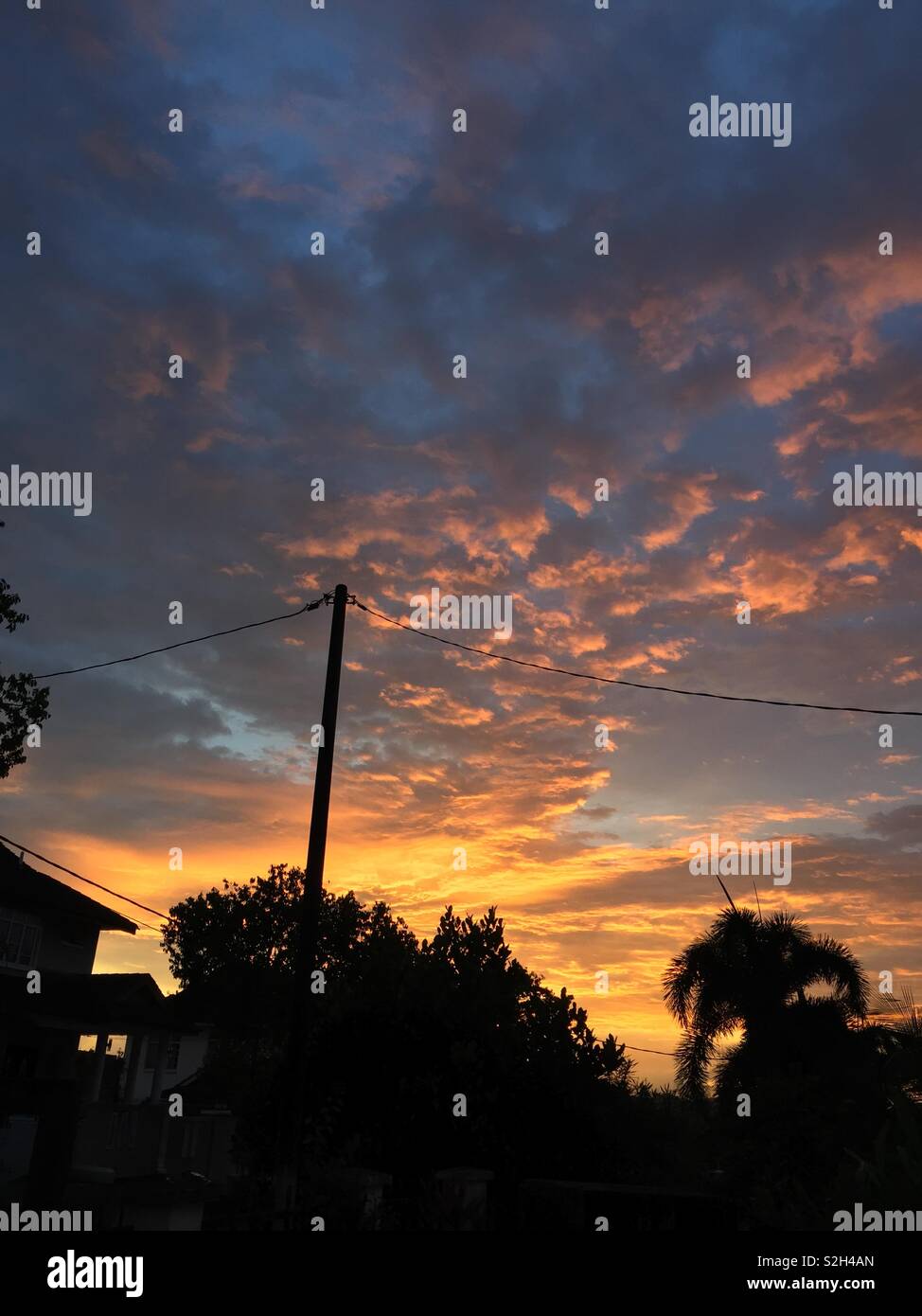 Golden starts hi-res stock photography and images - Alamy