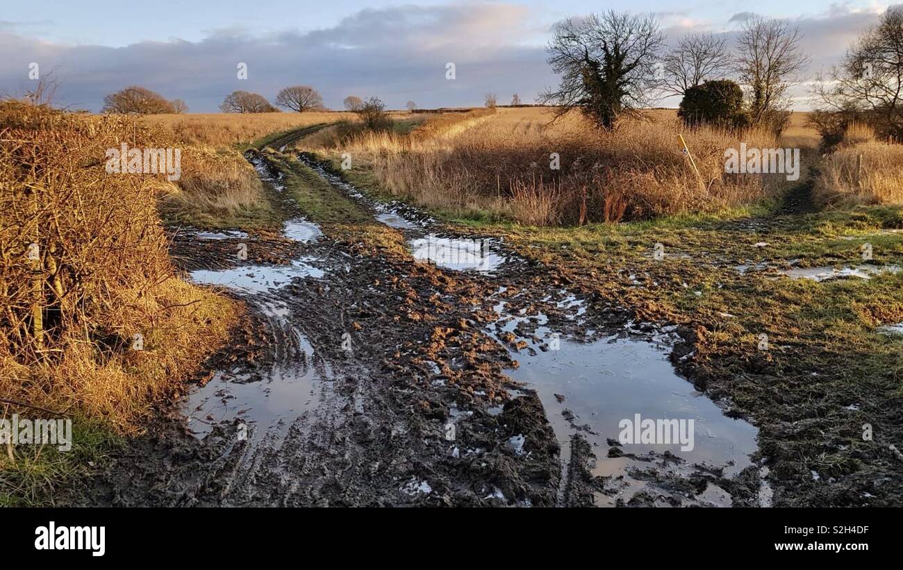 Muddy field in Winter in Nottingham, UK Stock Photo - Alamy