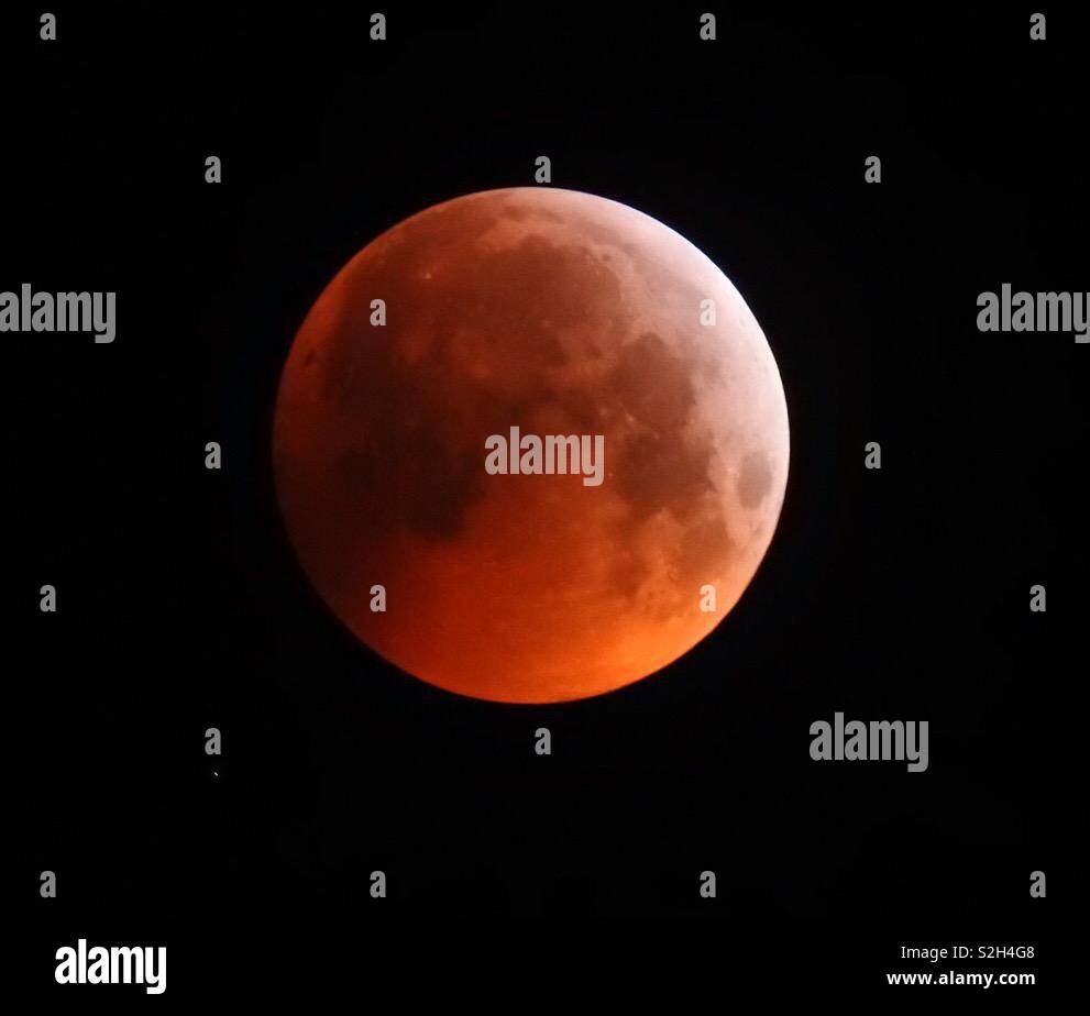 Blood wolf moon eclipse Stock Photo - Alamy