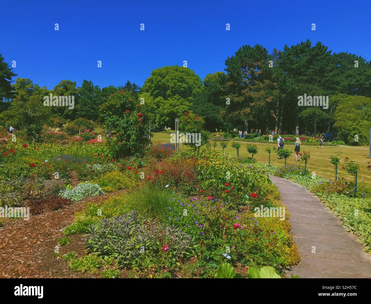 Sunny day at the garden Stock Photo - Alamy