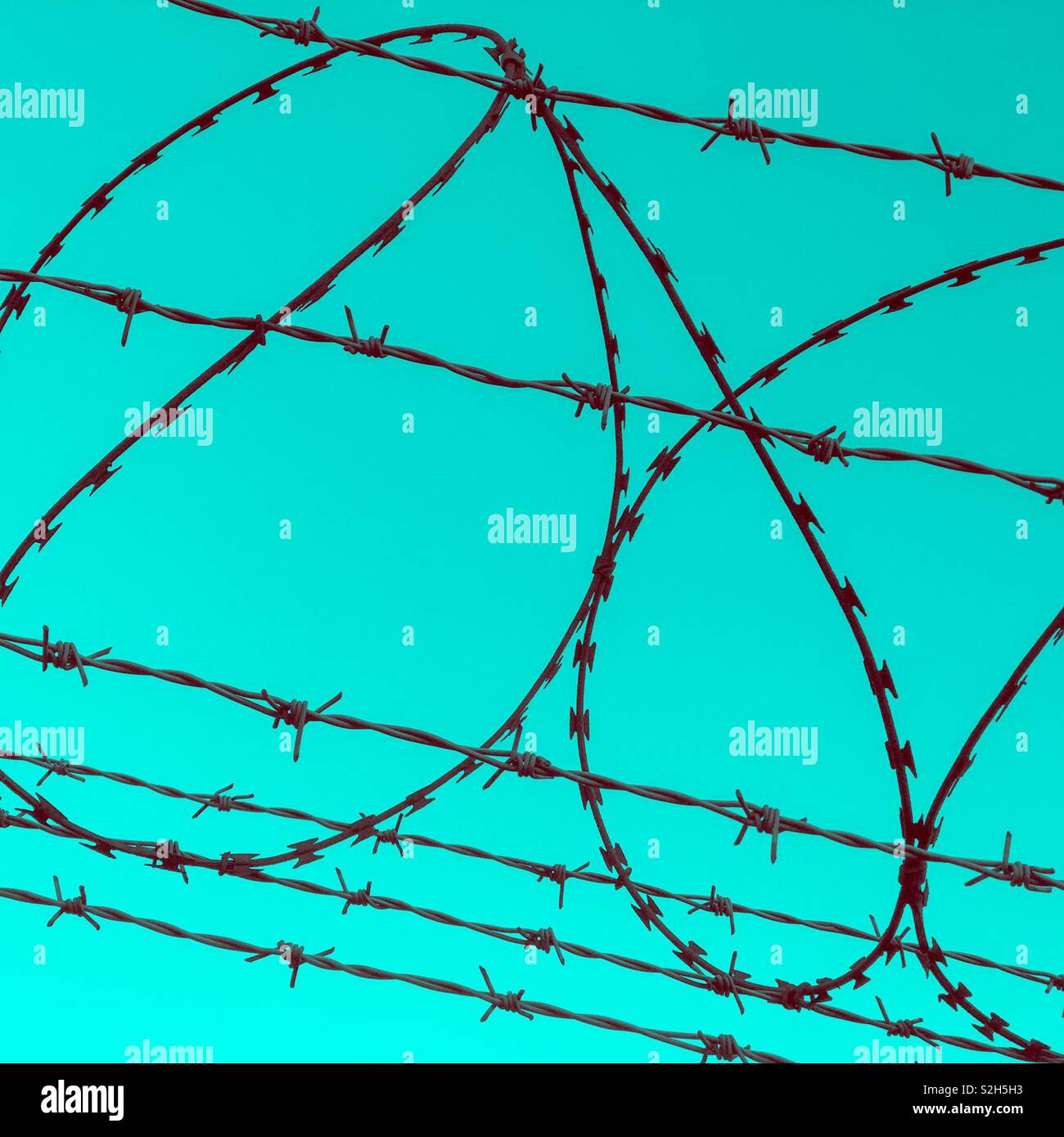 Barbed wire coil hi-res stock photography and images - Alamy