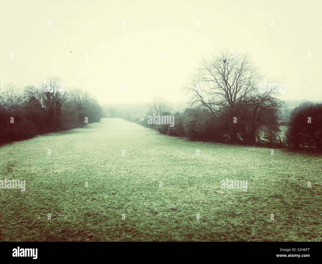 Field scene in winter Stock Photo - Alamy