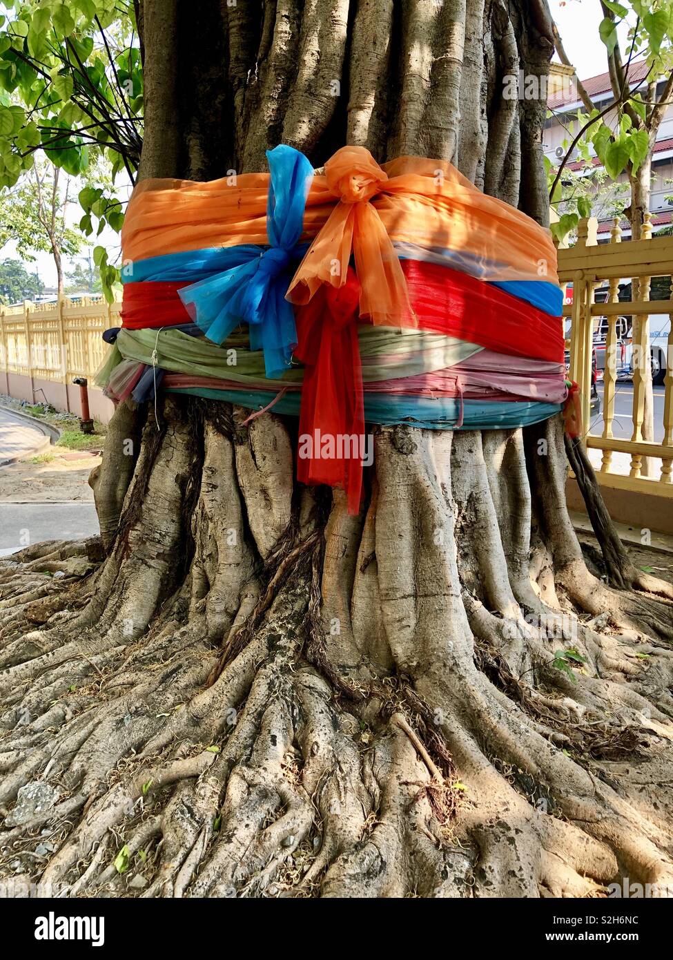 Colourful scarves tied around old tree in Thailand Stock Photo - Alamy