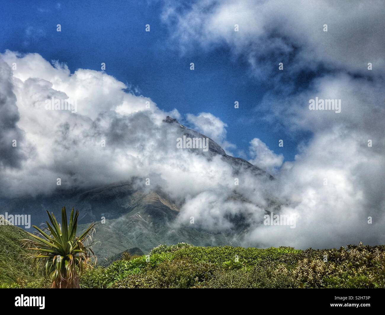 Taranaki in the clouds Stock Photo - Alamy